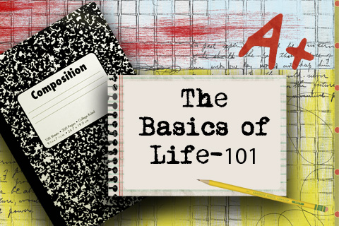 The Basics of Life-101 – Overcoming Domestic Violence